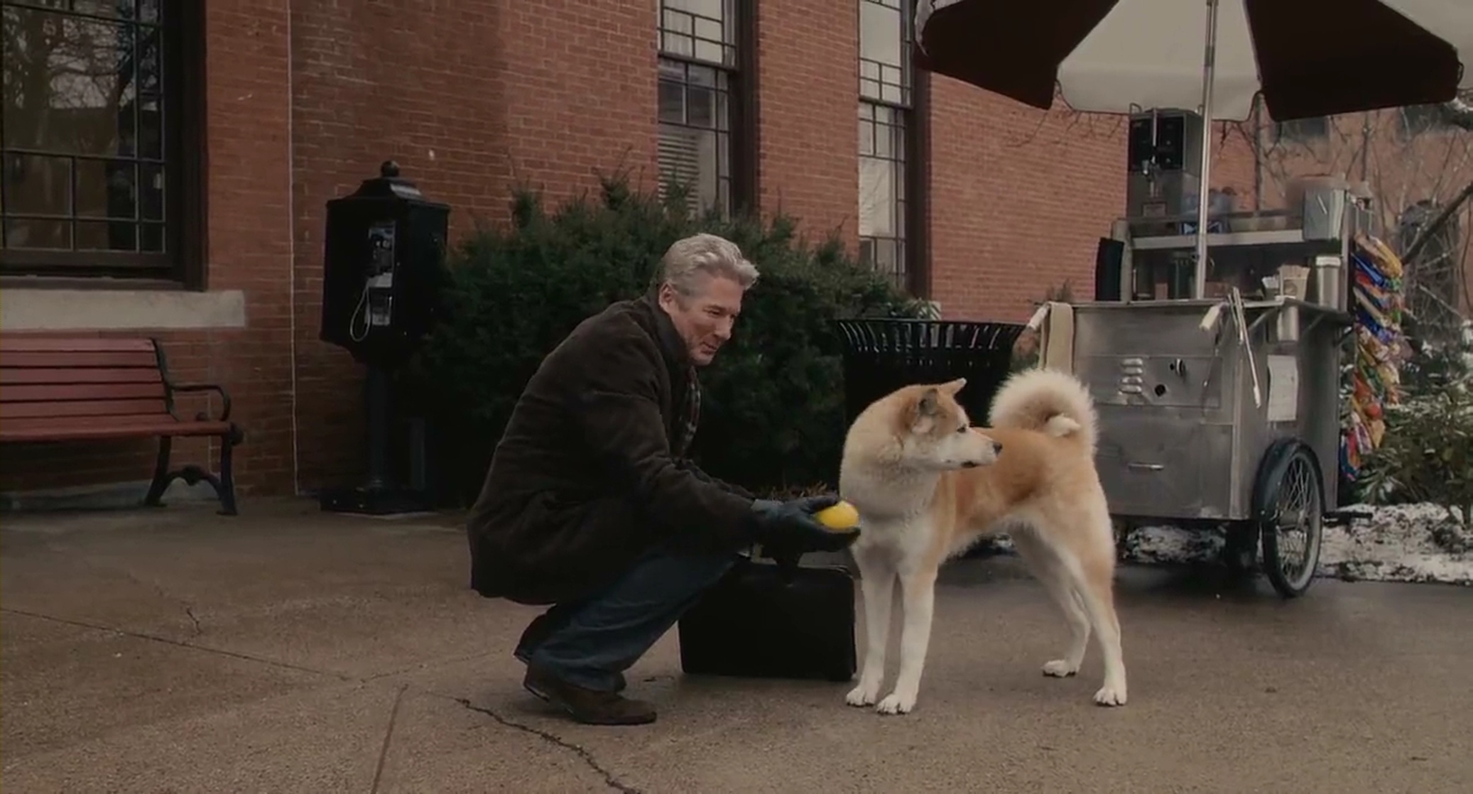 Picture of Hachi: A Dog's Tale