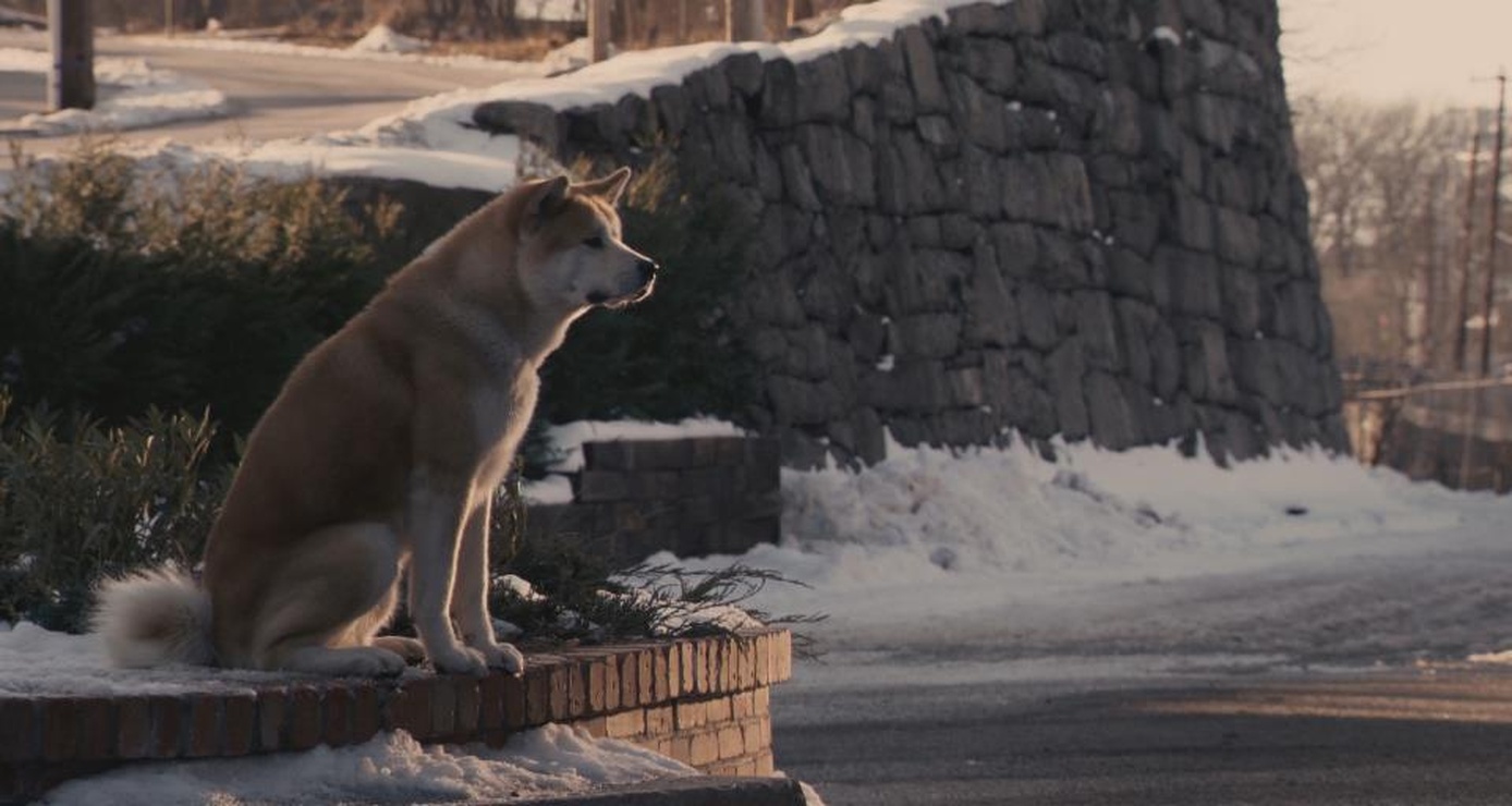 Picture of Hachi: A Dog's Tale