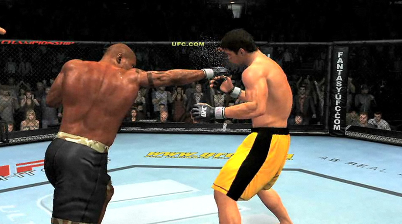 Image of UFC 2009 Undisputed