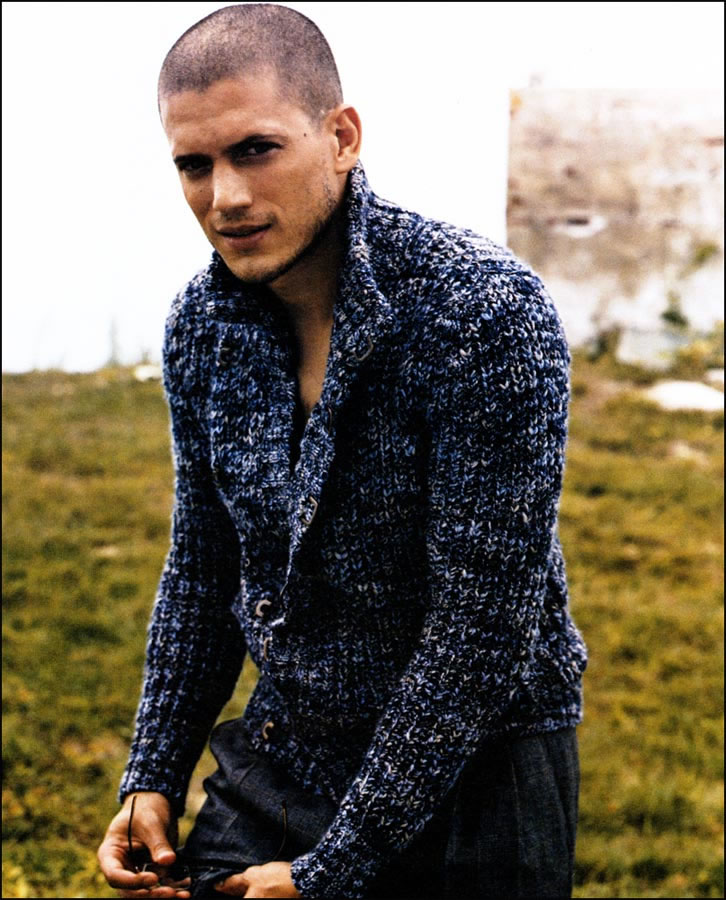 Picture of Wentworth Miller