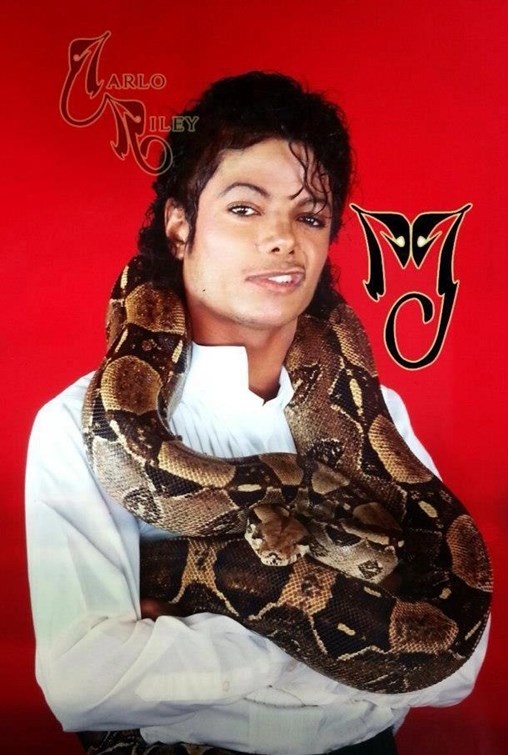 Picture of Michael Jackson