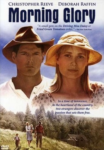 Picture of Morning Glory