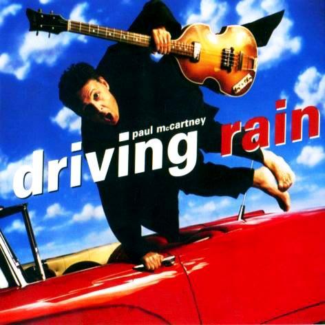 Picture of Driving Rain