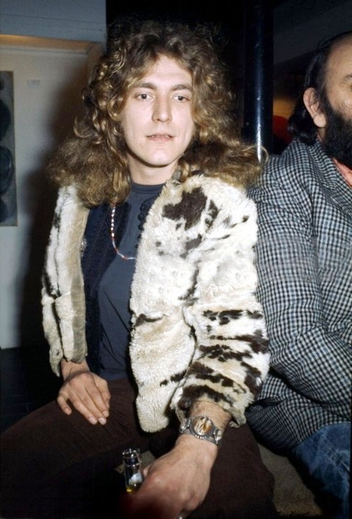 Picture of Robert Plant