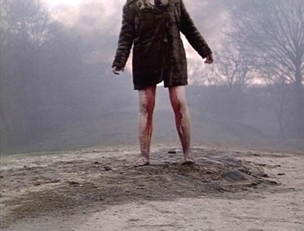 Picture of Come and See (1985)