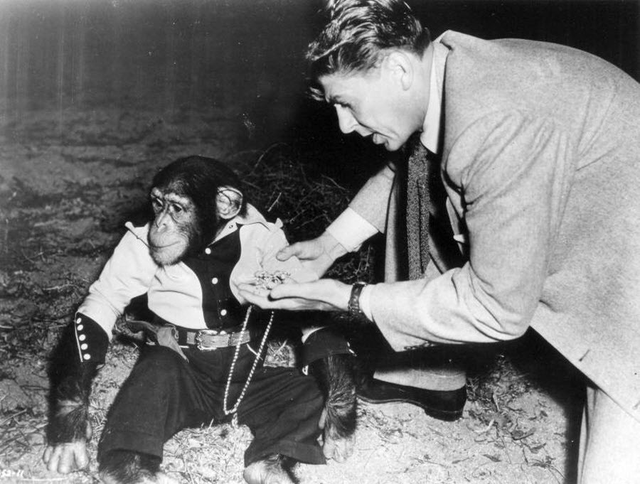 Image of Bedtime for Bonzo (1951)