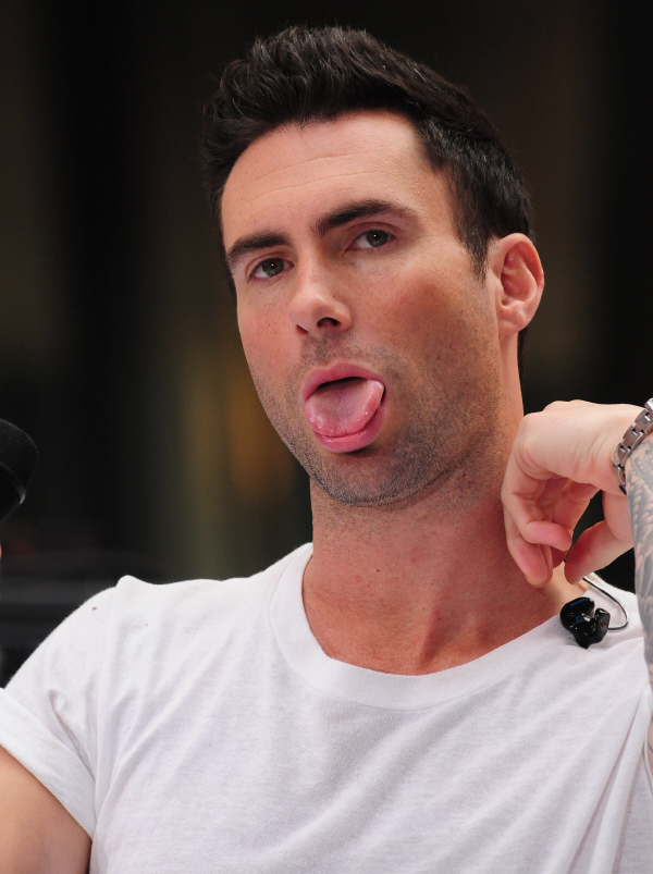 Picture of Adam Levine