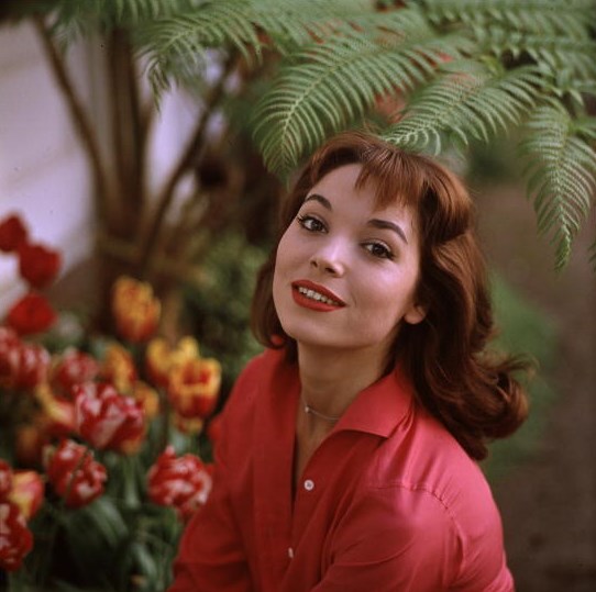 Picture of Elsa Martinelli