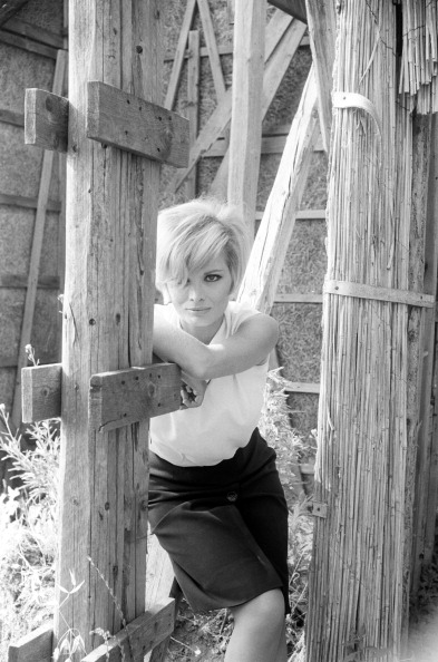 Picture of Scilla Gabel