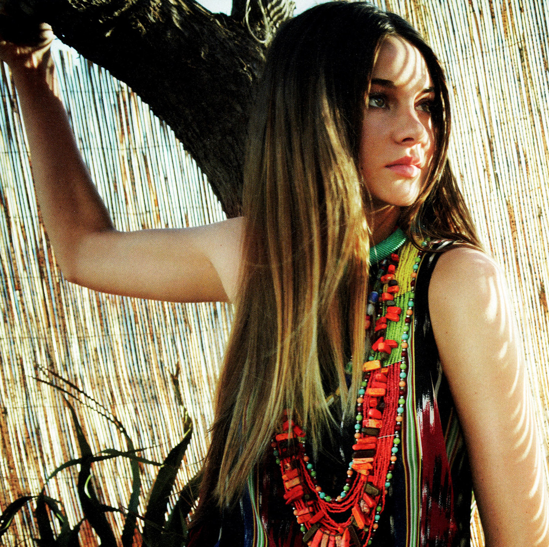 Picture of Shailene Woodley