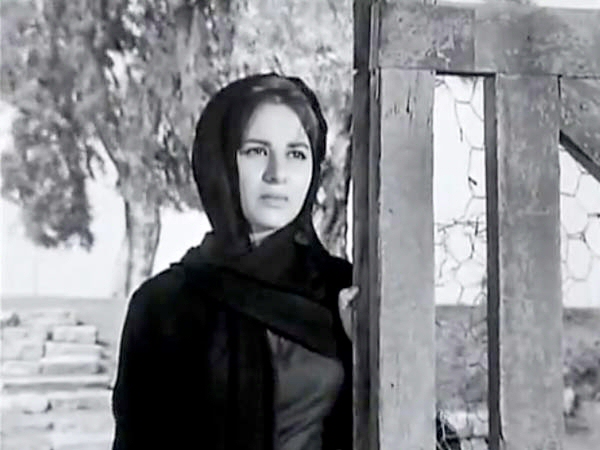 Picture of Amina Rizk