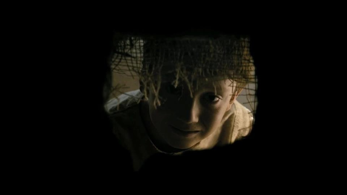 Picture of Insensibles