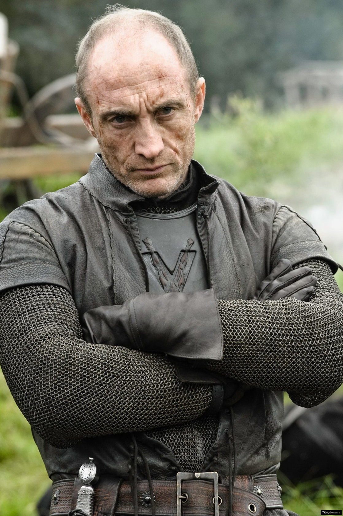 Michael McElhatton image