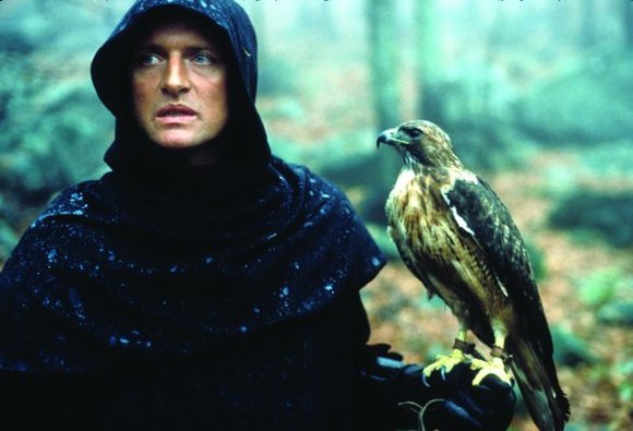 Picture of Ladyhawke (1985)