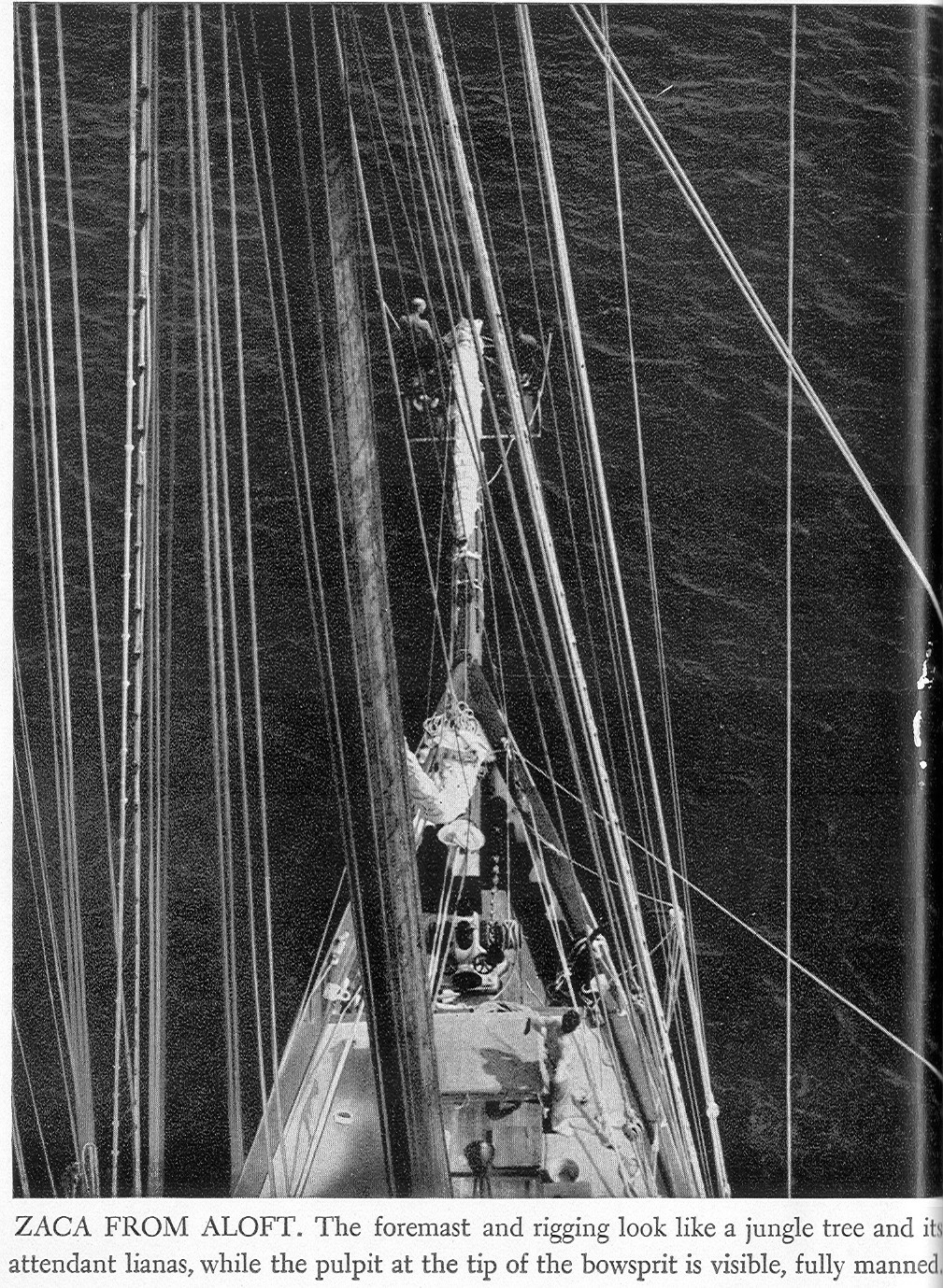 Picture of Cruise of the Zaca