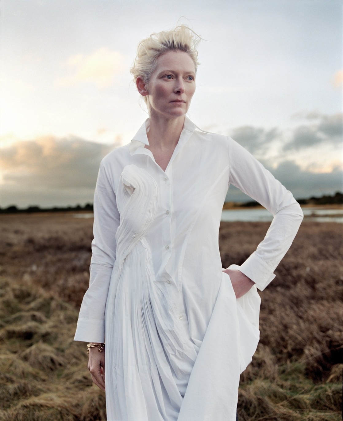 Tilda Swinton picture