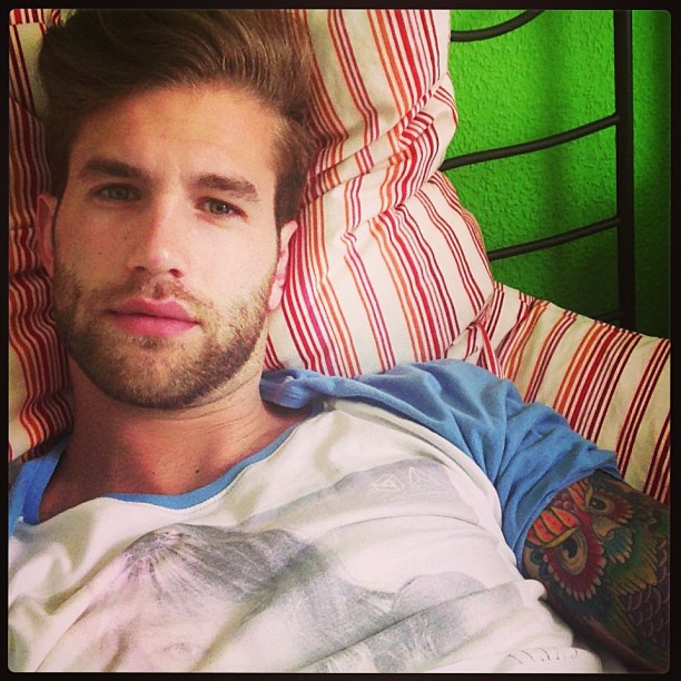 Andre Hamann image