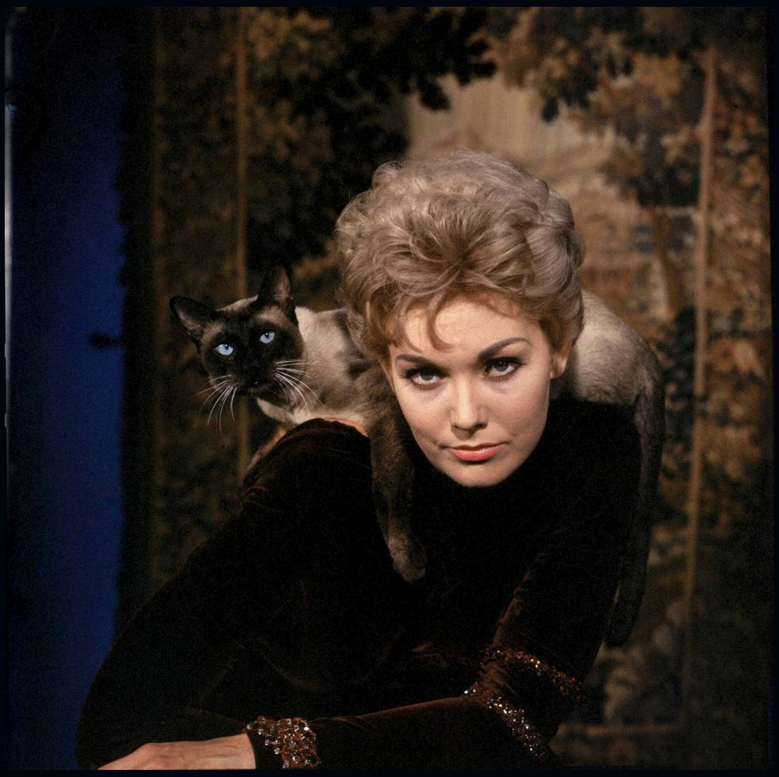 Picture of Kim Novak