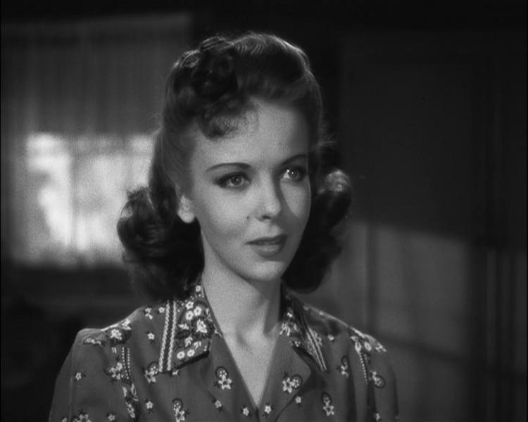 Picture of High Sierra