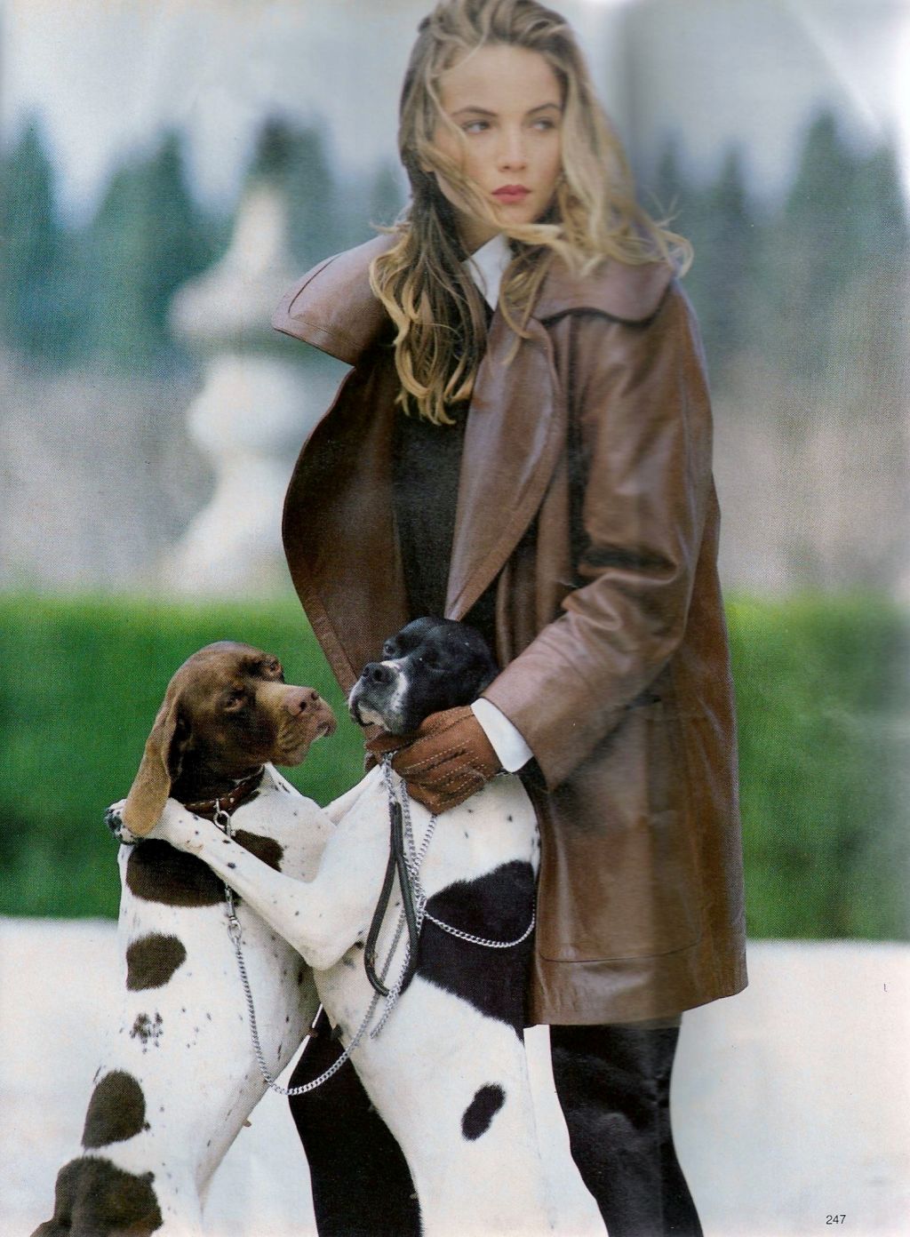 Rachel Williams image