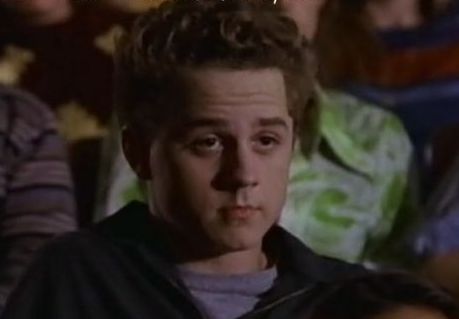 Picture of Giovanni Ribisi