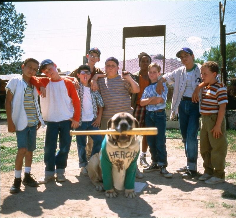 Picture of The Sandlot (1993)