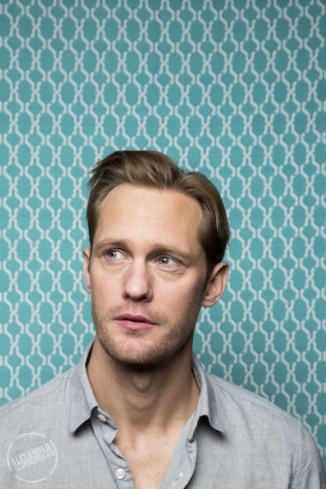 Picture of Alexander Skarsgård
