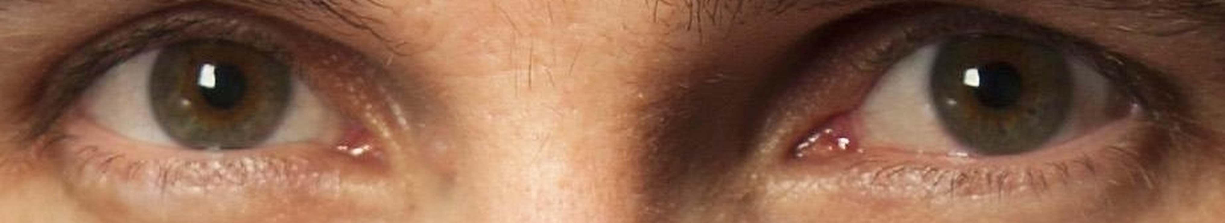 Listal - List the stuff you love! Movies, TV, music, games and books