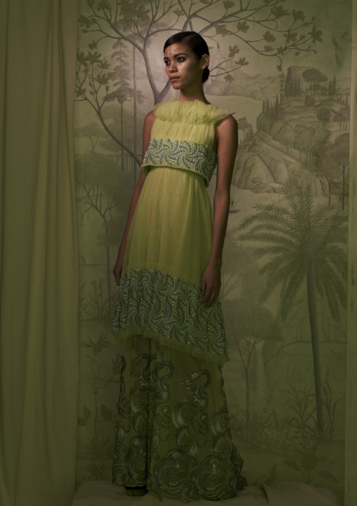 Image of Emily Carter Model