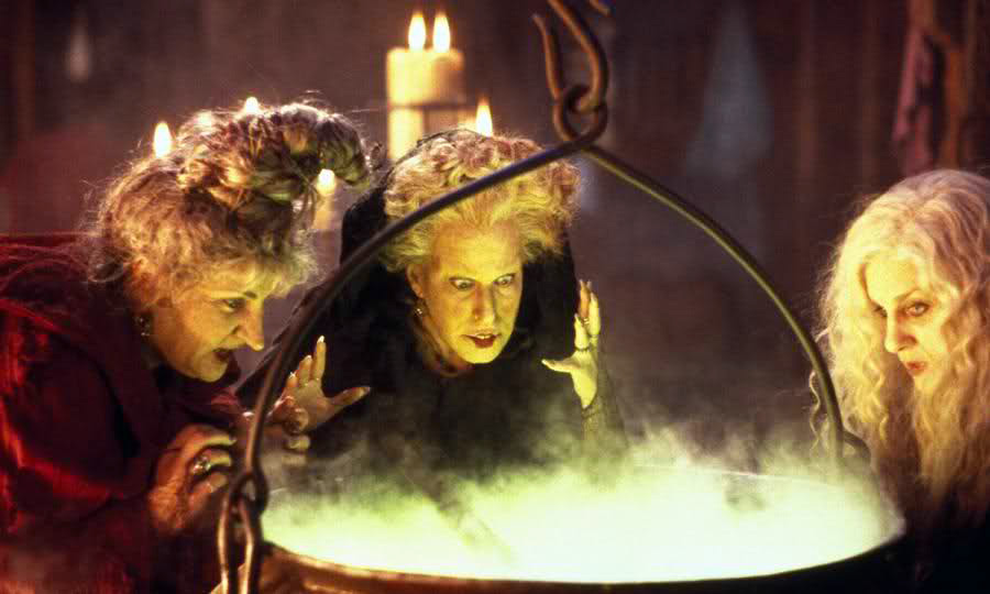 Picture of Hocus Pocus (1993)