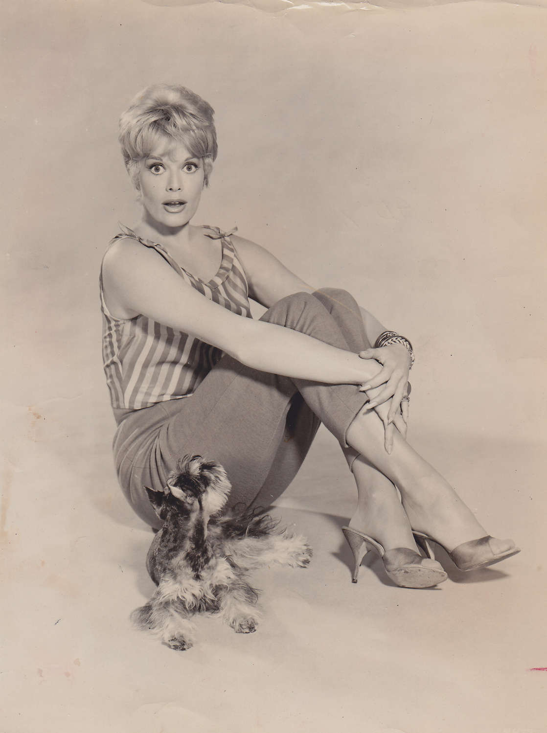 Picture of Janis Paige