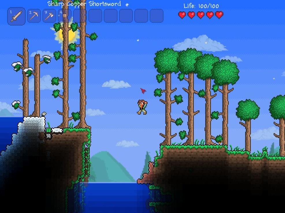 Picture of Terraria