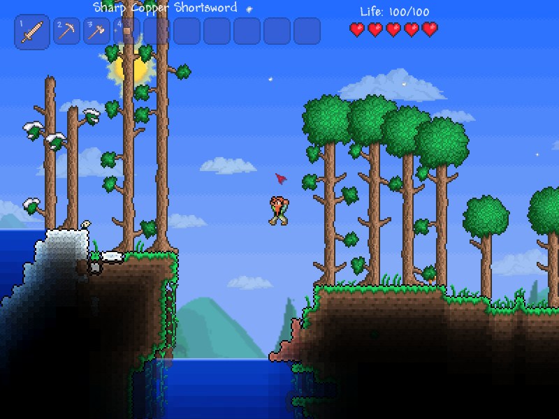 Picture of Terraria