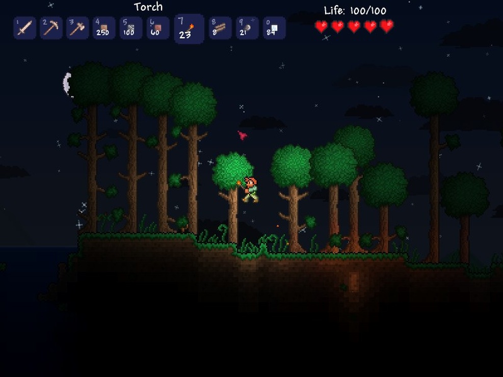 Picture of Terraria