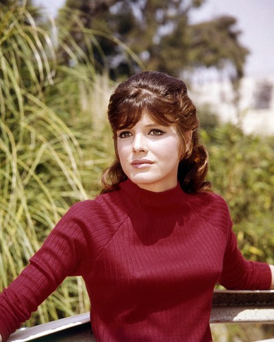 Katharine Ross image