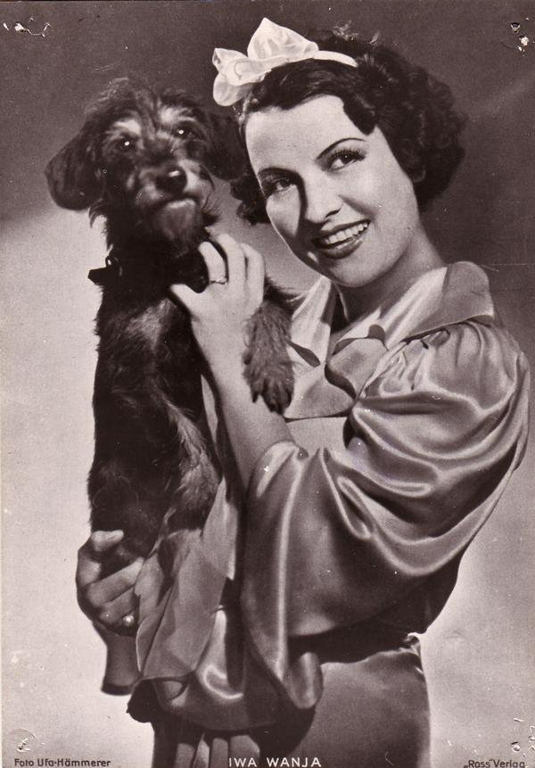 Picture of Iwa Wanja