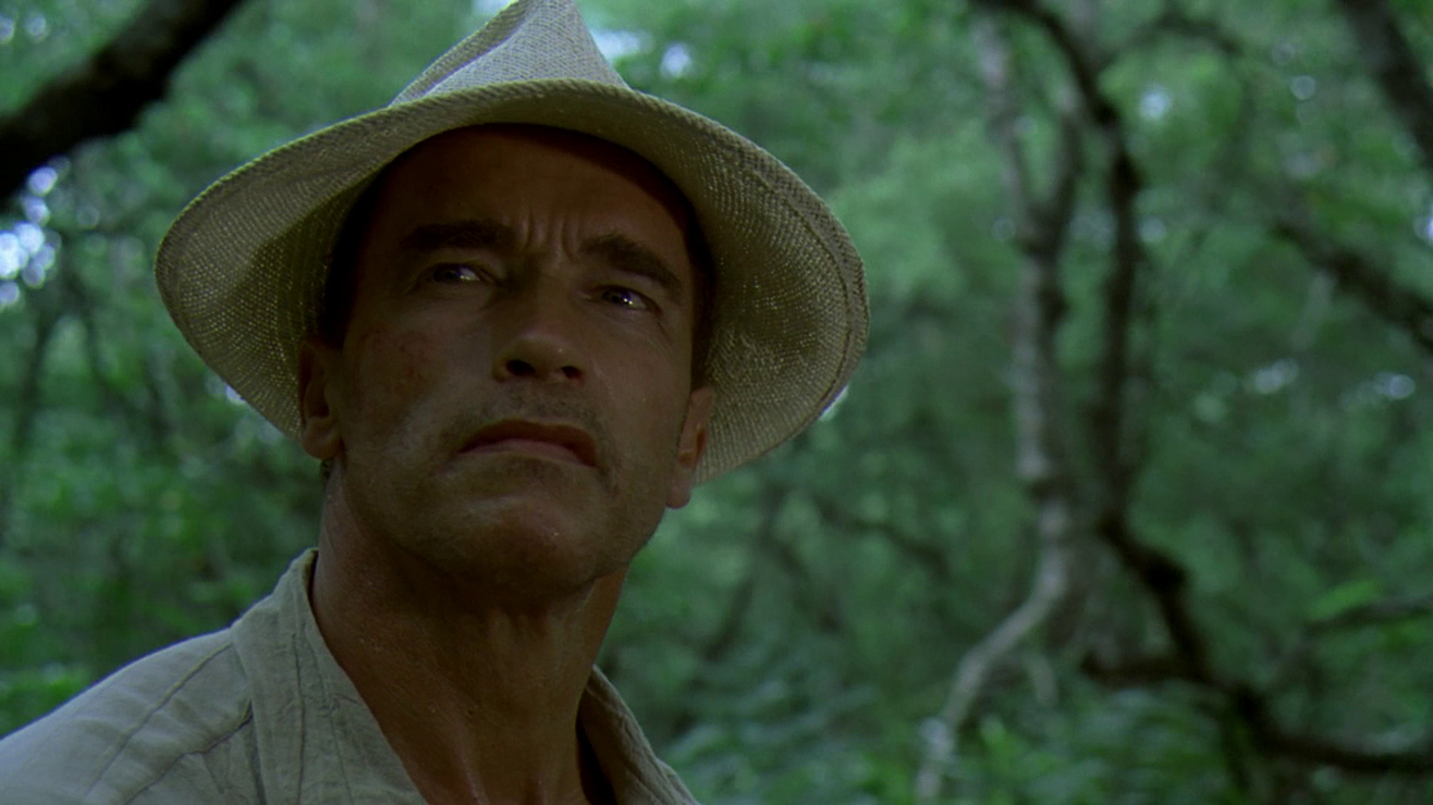 Picture of Collateral Damage (2002)