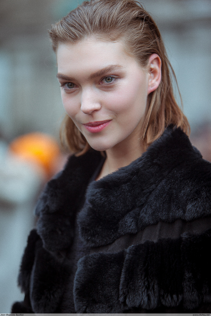 Picture of Arizona Muse