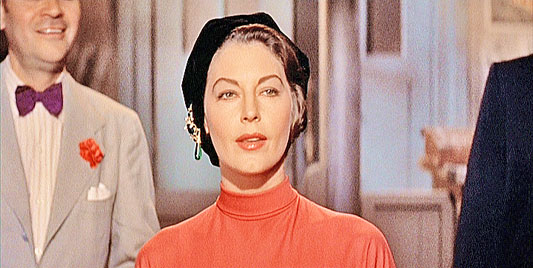 Picture of The Sun Also Rises