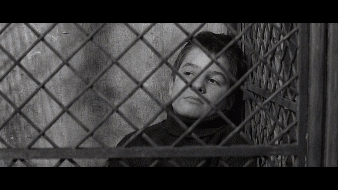 Image of The 400 Blows