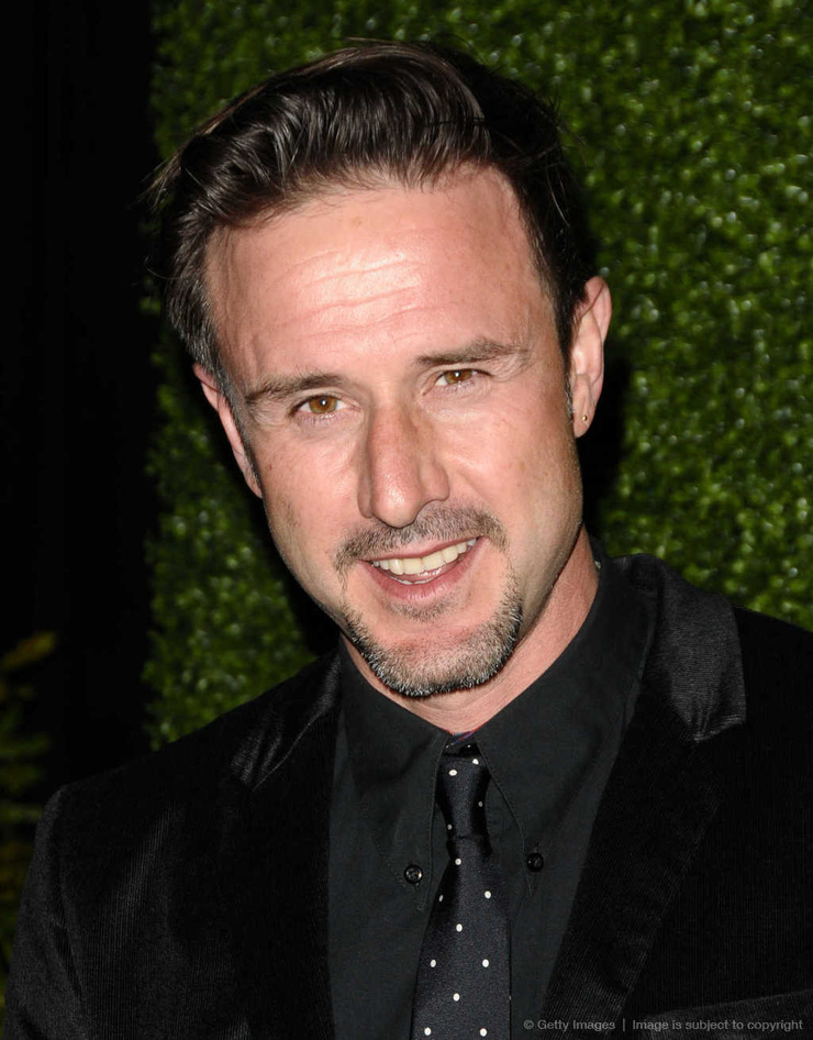 Picture of David Arquette