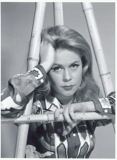 Elizabeth Montgomery picture