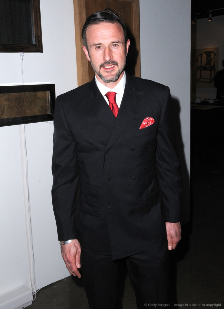 Picture of David Arquette