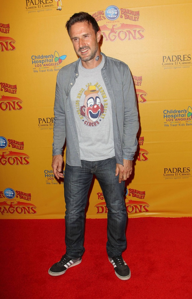 Picture of David Arquette