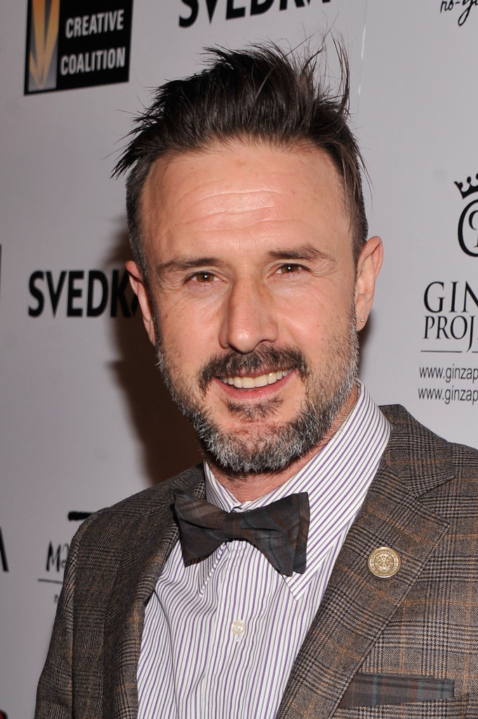 Picture of David Arquette