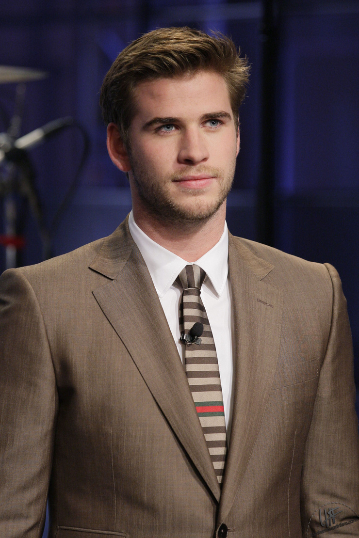 Picture of Liam Hemsworth