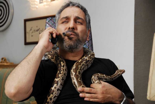 Picture of Mehran Modiri