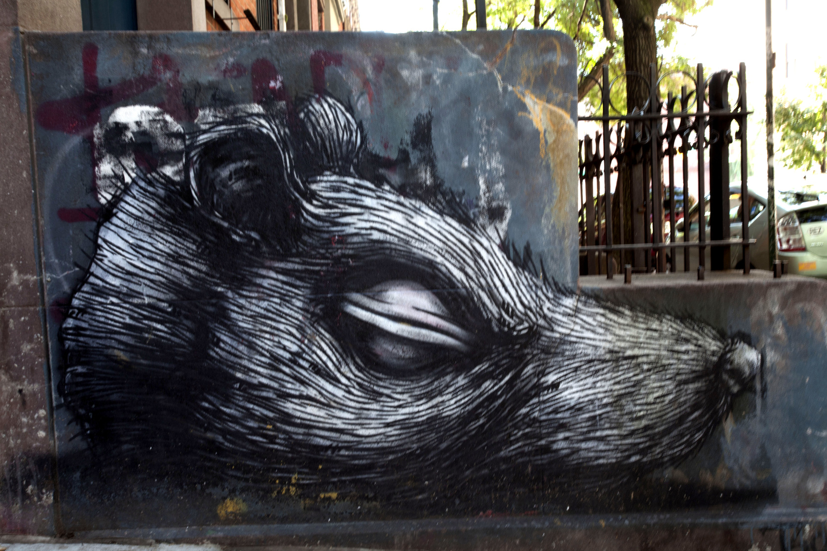 Picture of ROA