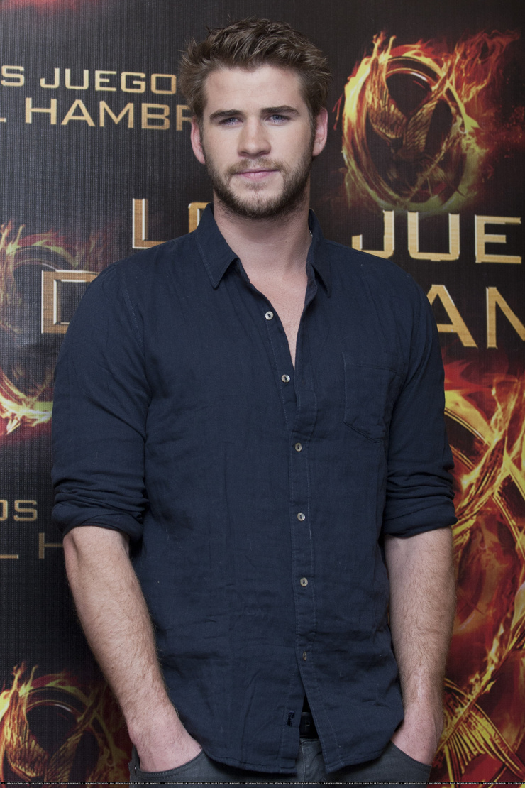 Picture of Liam Hemsworth