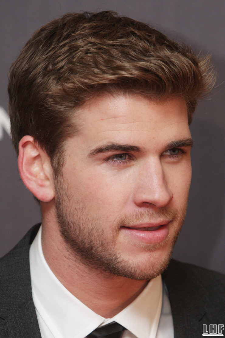 Picture of Liam Hemsworth